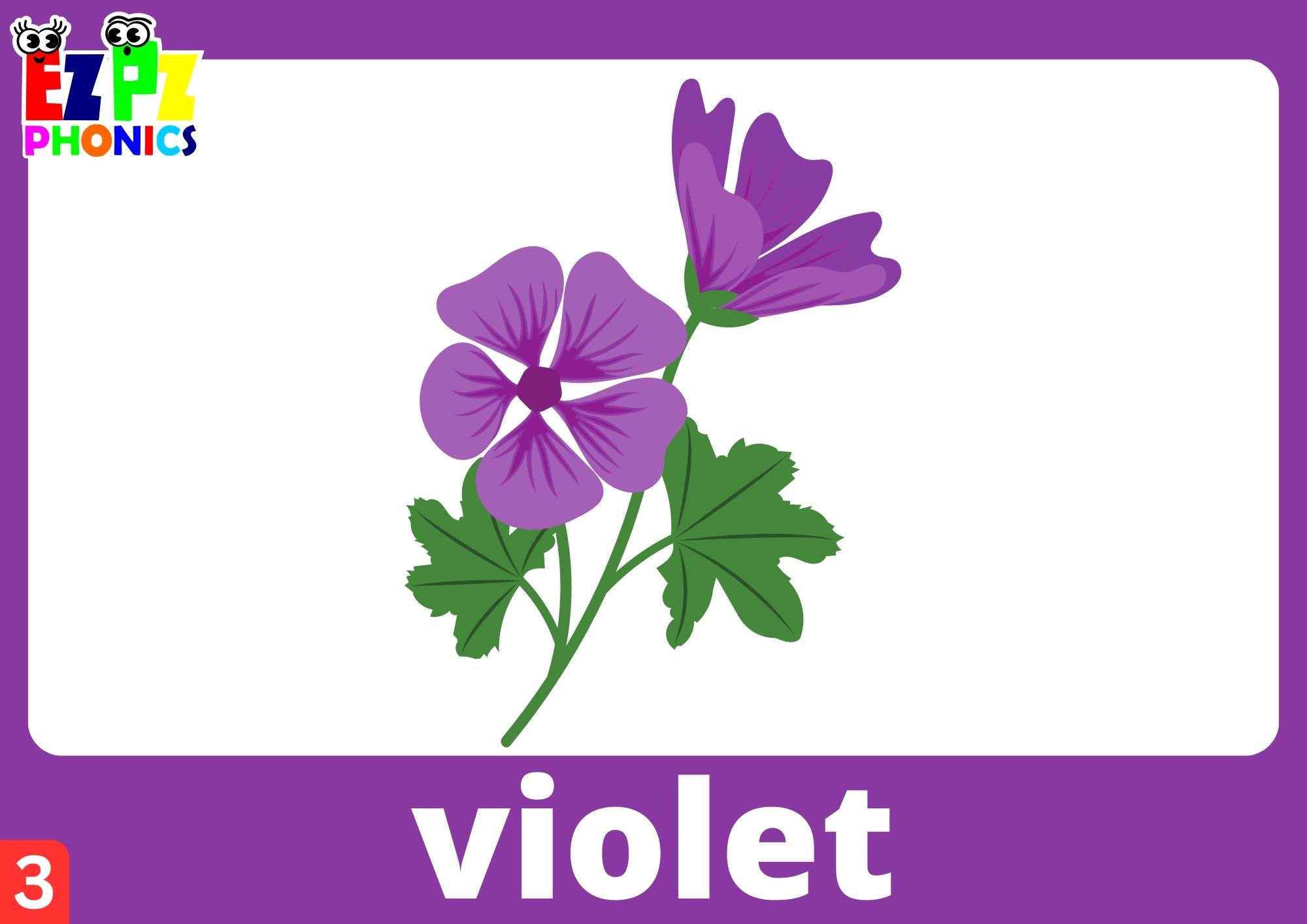 Letter V Words Phonics Flashcards with Images and Words Free Printable ...