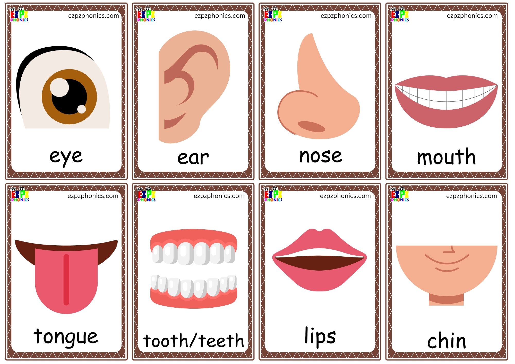 My Body First Words - ezpzphonics.com